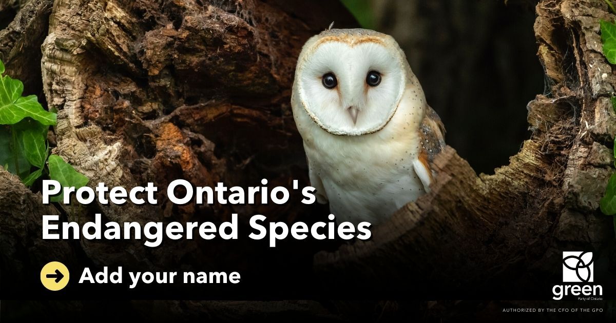 Save Ontario’s at-risk species now | Ontario Greens