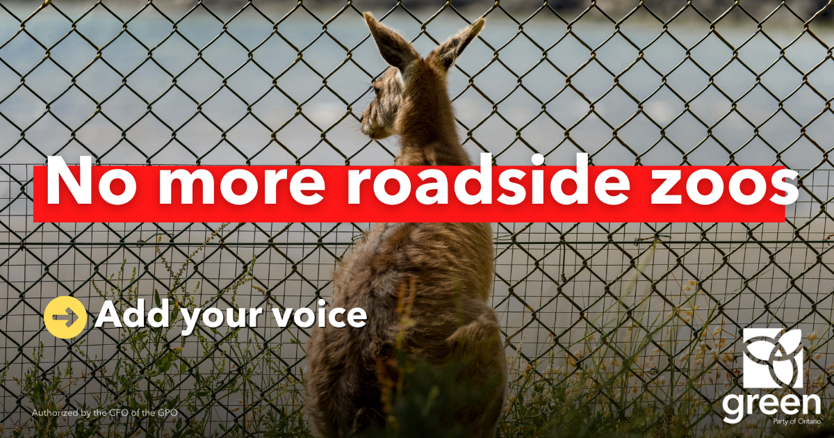 No more roadside zoos | Ontario Greens