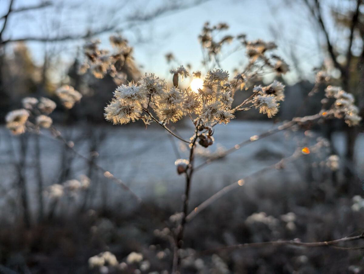 2026 Calendar Contest Submission: Beautiful Place | Ontario Greens