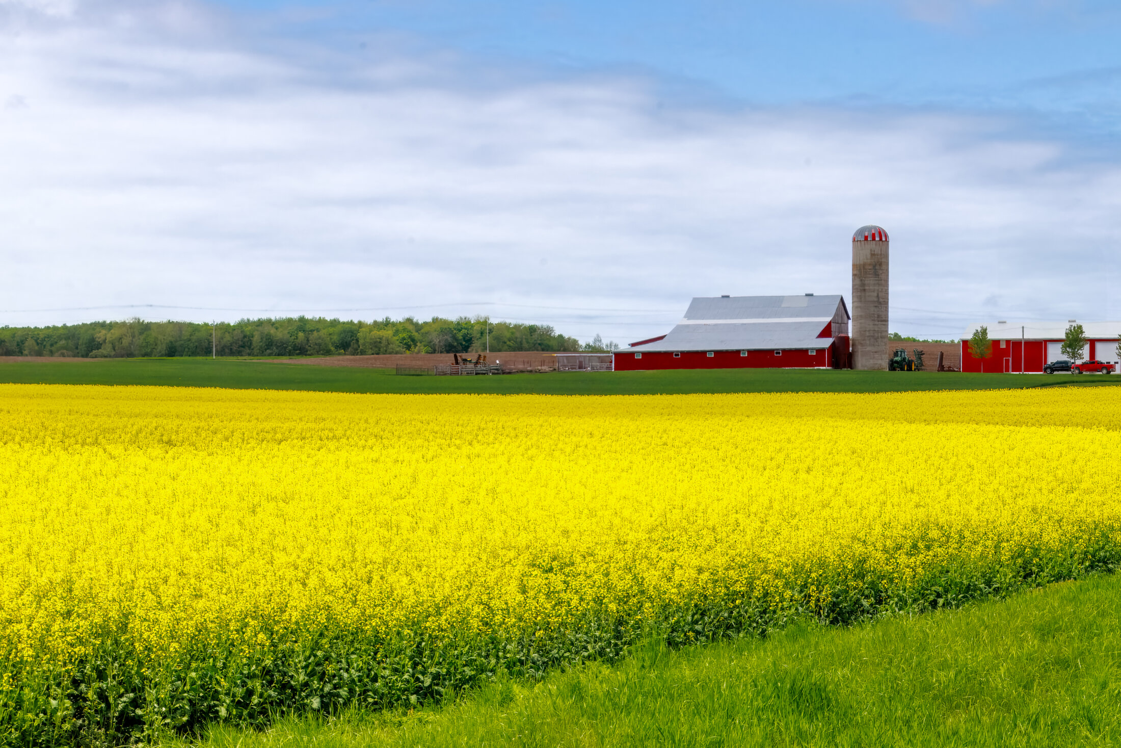 2026 Calendar Contest Submission: Canola Field Near Bayfield | Ontario ...