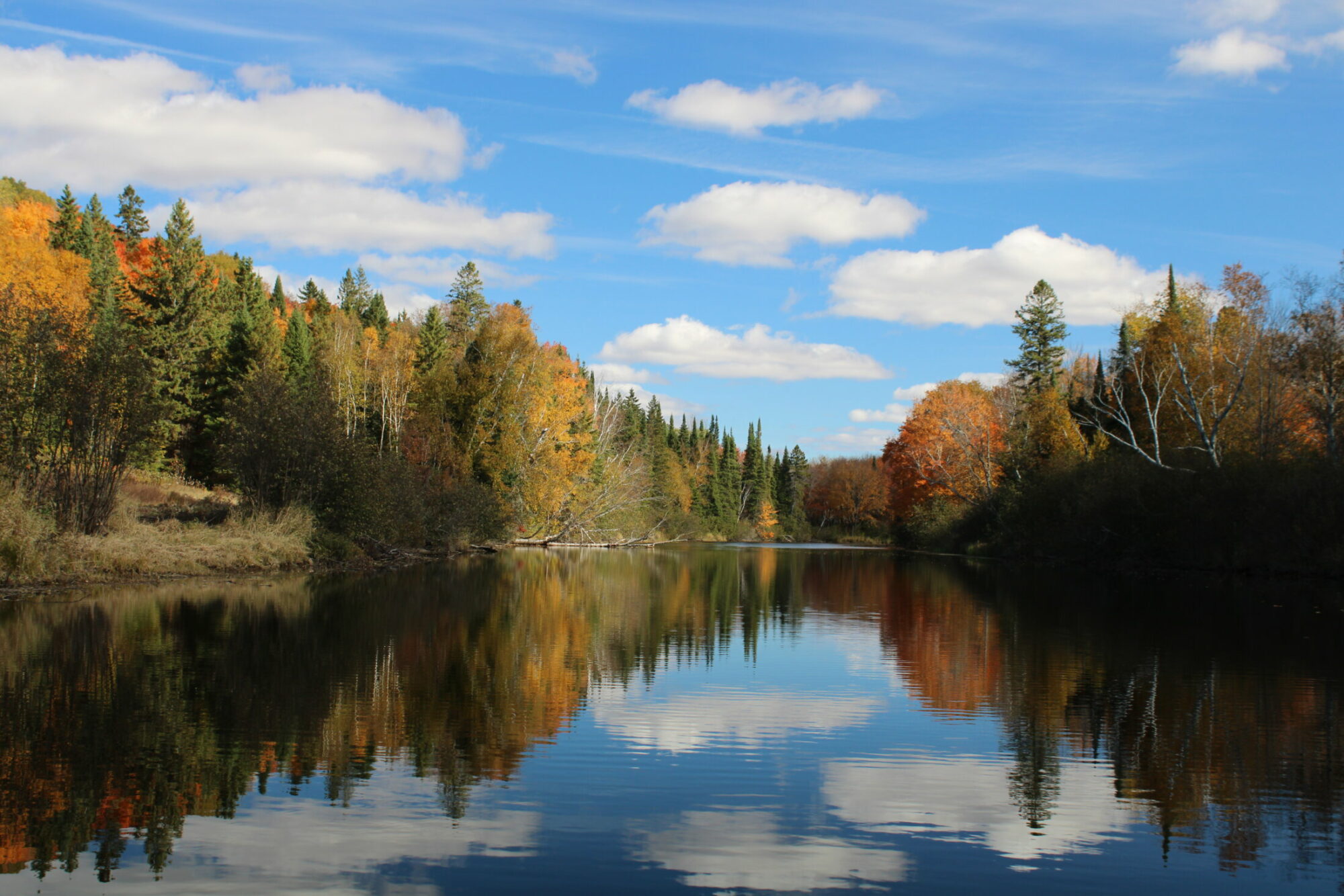 2026 Calendar Contest Submission: Magnetawan River | Ontario Greens