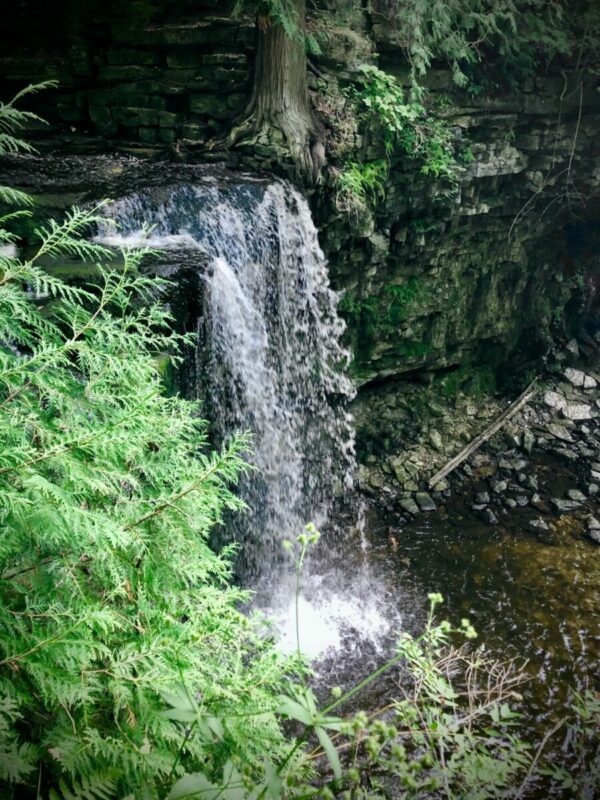 2026 Calendar Contest Submission: Hidden Gem | Ontario Greens