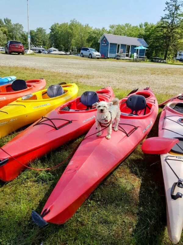 2026 Calendar Contest Submission: I’m ready to go kayaking! | Ontario ...