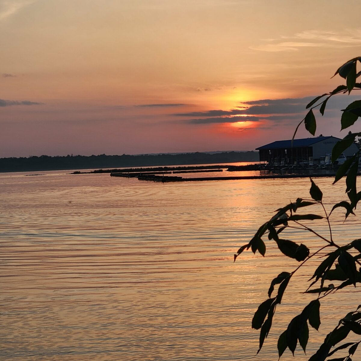 2026 Calendar Contest Submission: Sunset | Ontario Greens