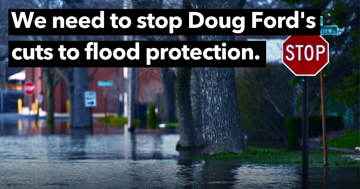 Protect Our Local Flood Defense | Ontario Greens