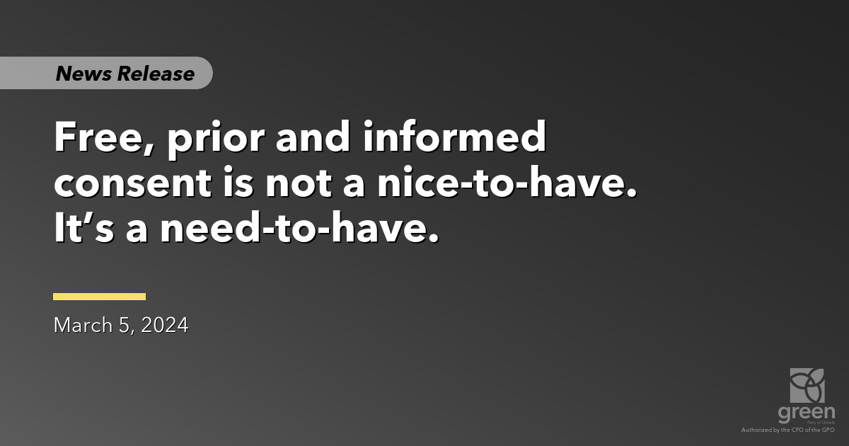 Greens support Cat Lake First Nation’s calls for consultation on ...