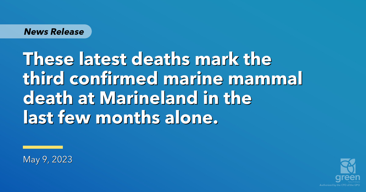 Marine mammal captivity must come to an end