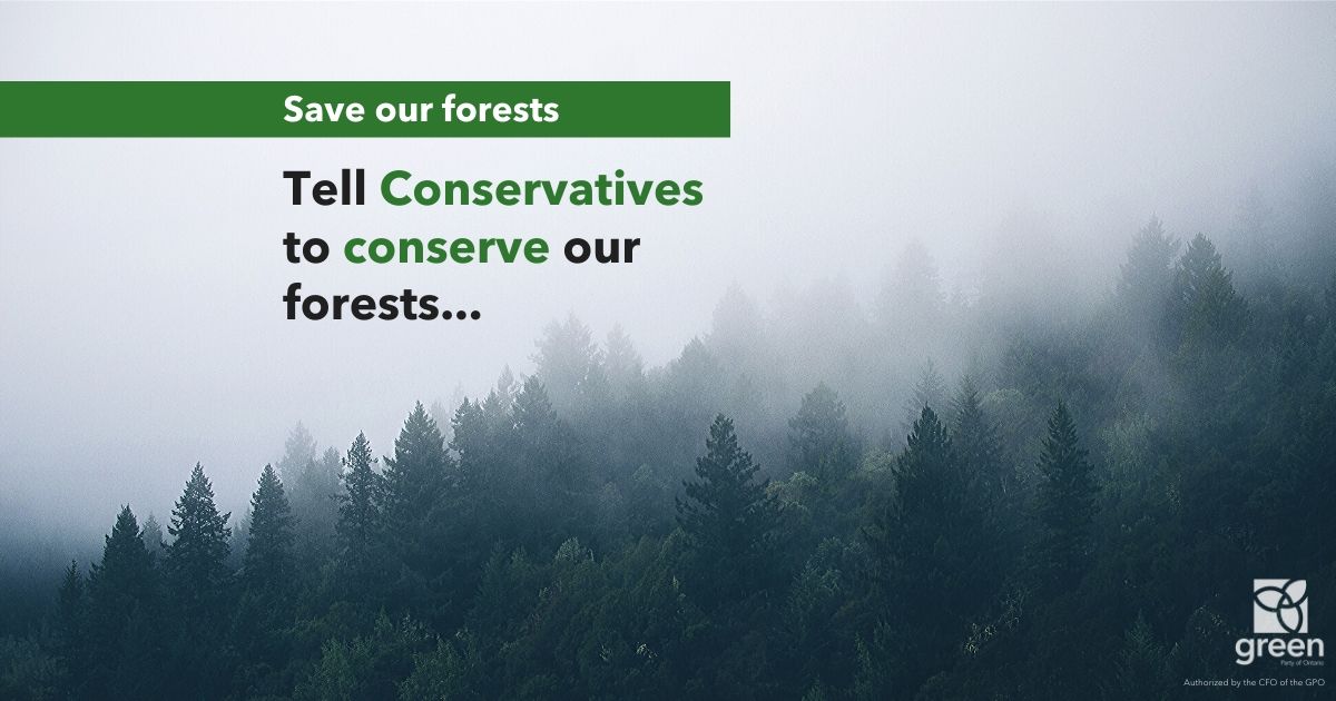 Save Ontario's forests